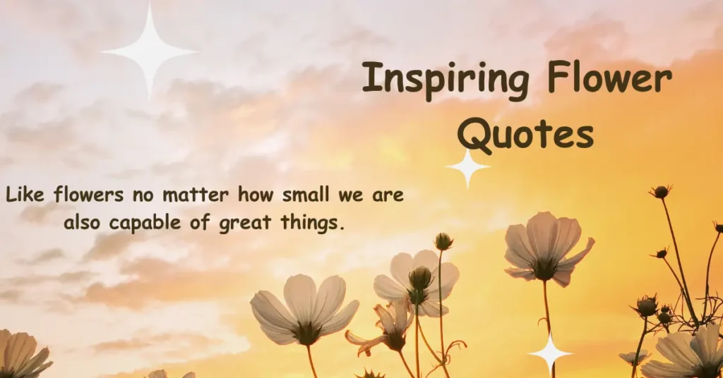 95 Inspirational Flower Quotes To Brighten Your Day WishByGift 95 Inspirational Flower Quotes To Brighten Your Day WishByGift